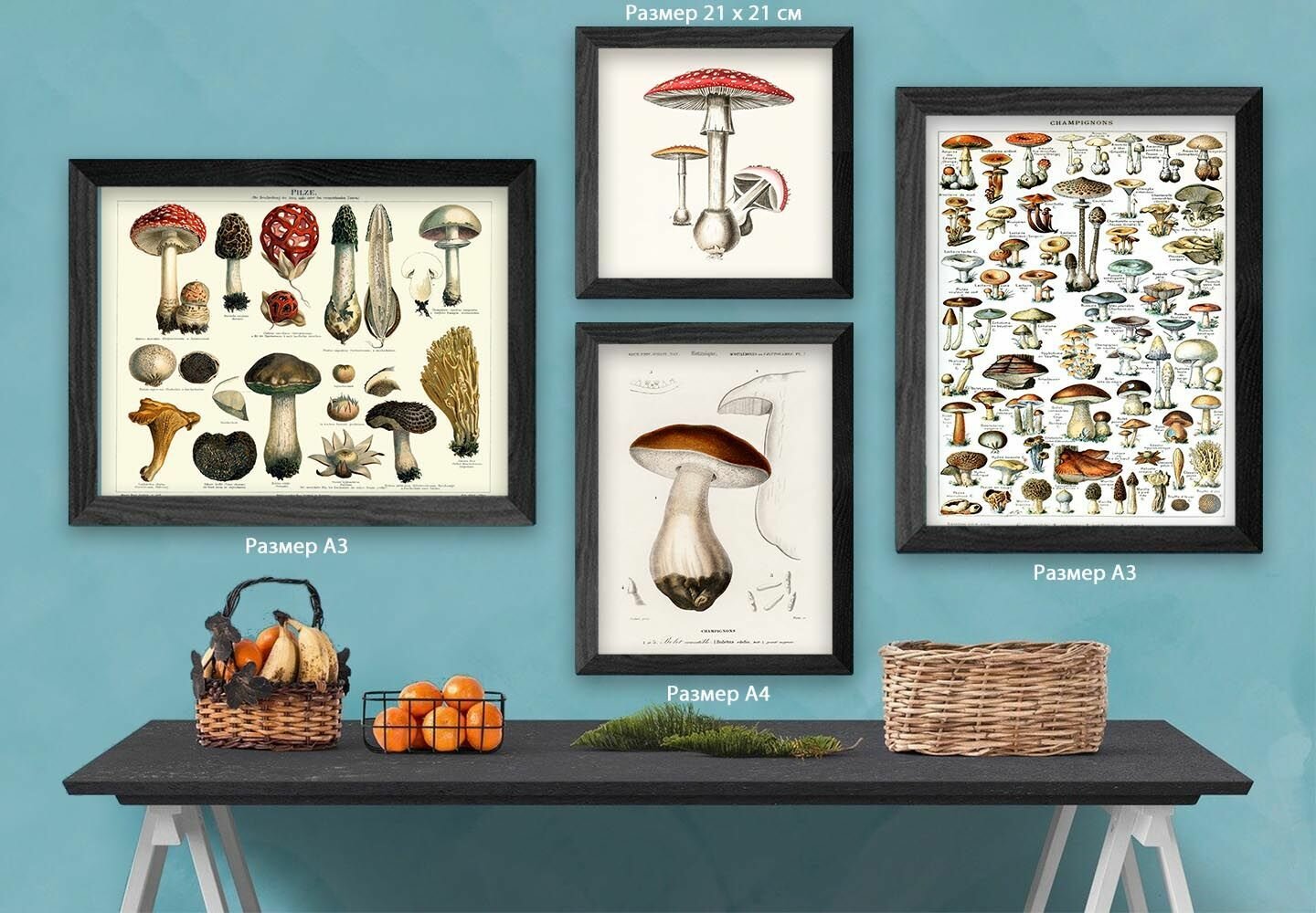 Набор плакатов Грибы - Съедобные и Несъедобные Виды (2 шт A3; 1 шт А4; 1 шт 21 х 21 см, без рамы)