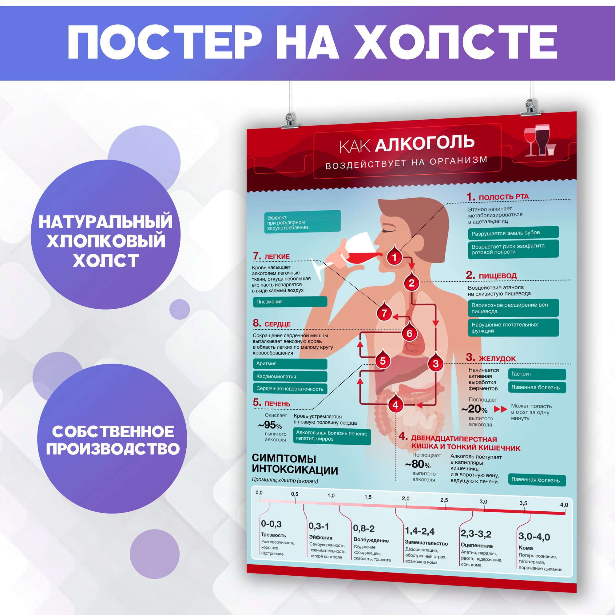 Постер на стену медицинский, Вред алкоголя, в больницу, здоровье 40х60 см