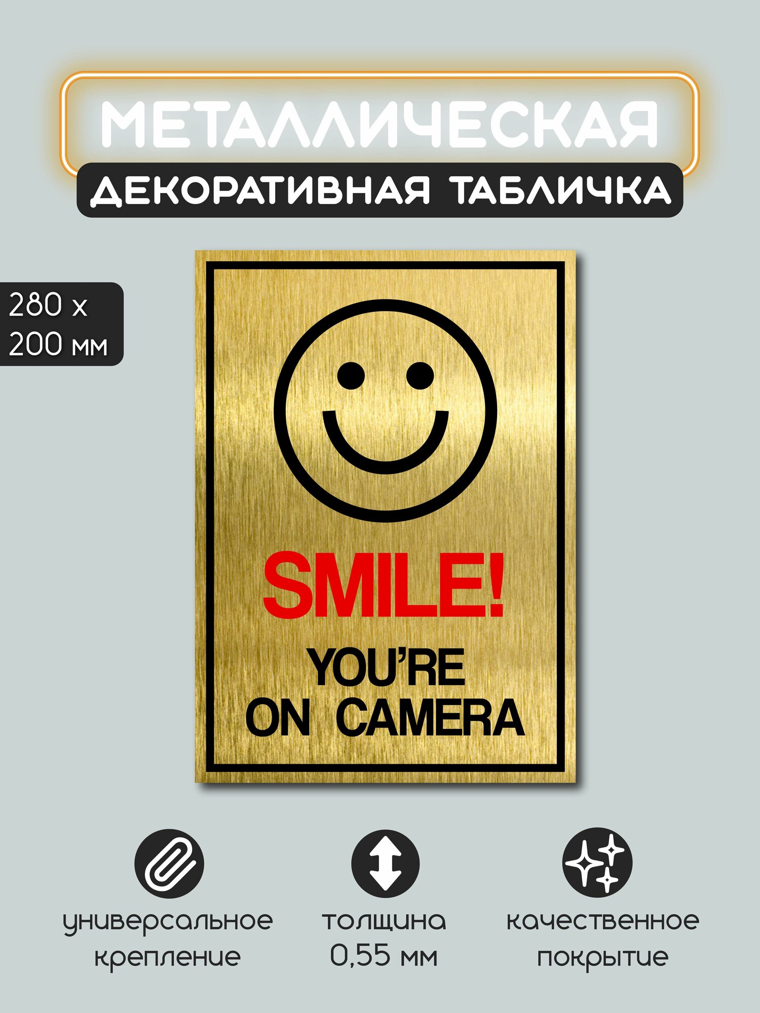 Табличка металлическая информационная Видеонаблюдение 100х280 мм