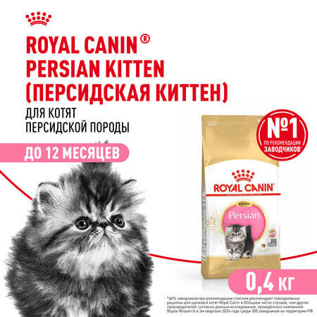 ROYAL CANIN PERSIAN KITTEN 2 шт по 400 г корм для персидских котят в возрасте до 12 месяцев