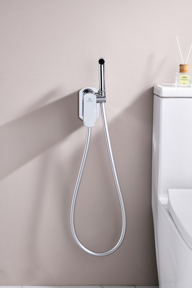 Смеситель встраиваемый с гигиеническим душем, настенного монтажа Ganzer GZ06157 хром