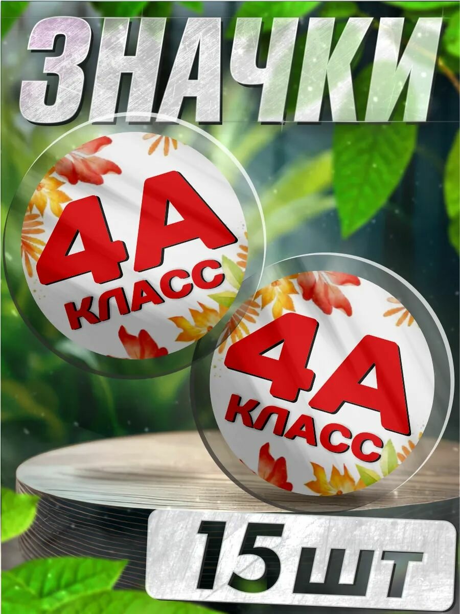 Значки на рюкзак школьные 1 сентября 4 а класс