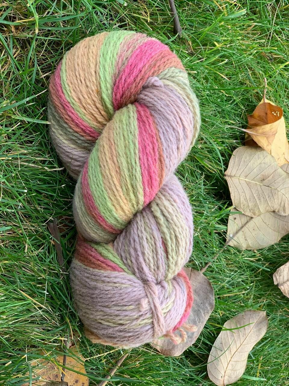 Пряжа Дундага 6/2 multicolor S-119 168г