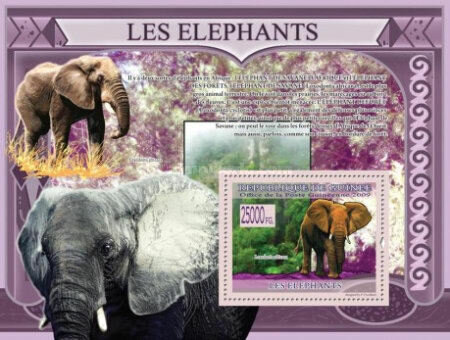 Почтовые марки Гвинея 2009г. "Фауна - Слоны" Слоны MNH