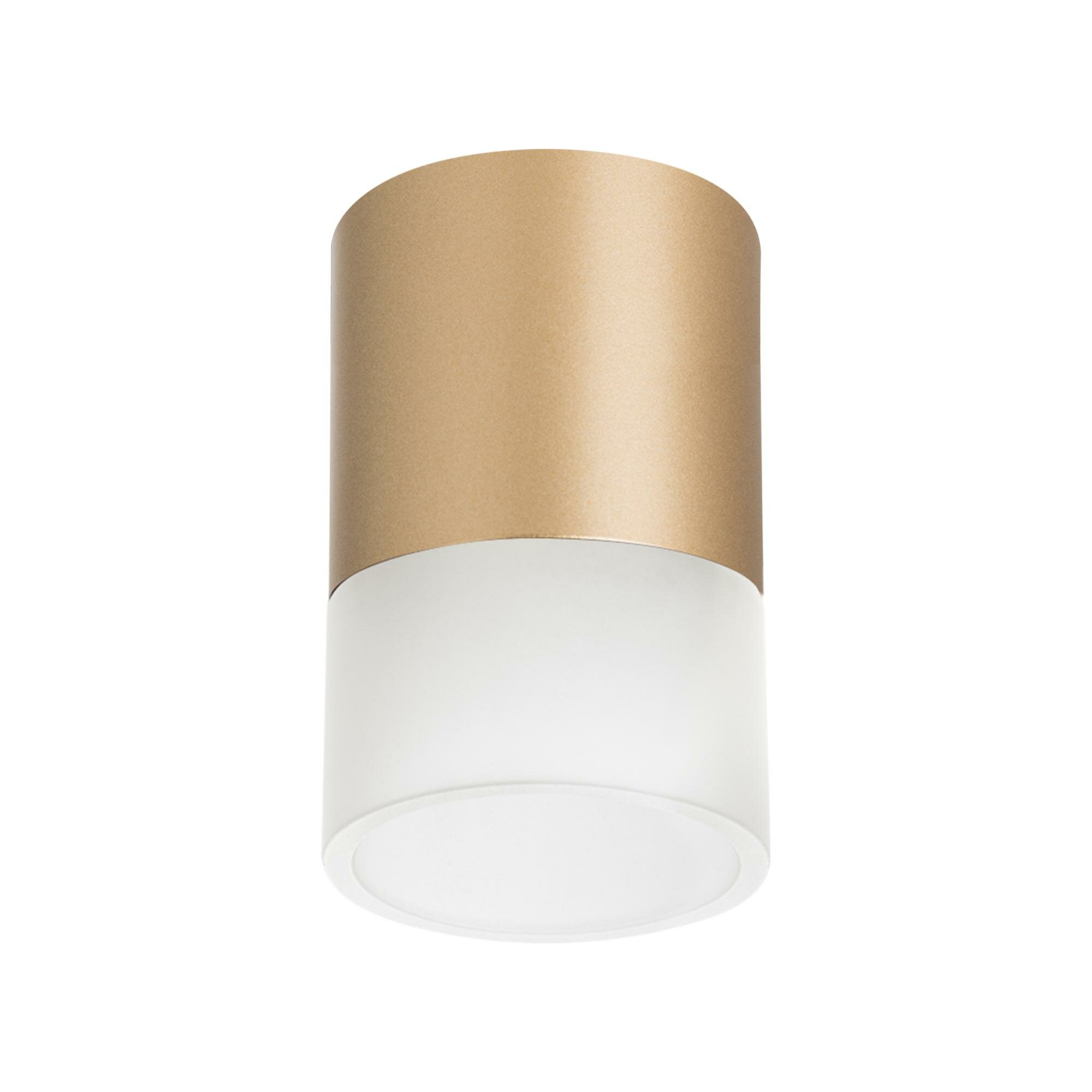 Накладной светильник Lightstar Rullo R349081 (213490+202481)