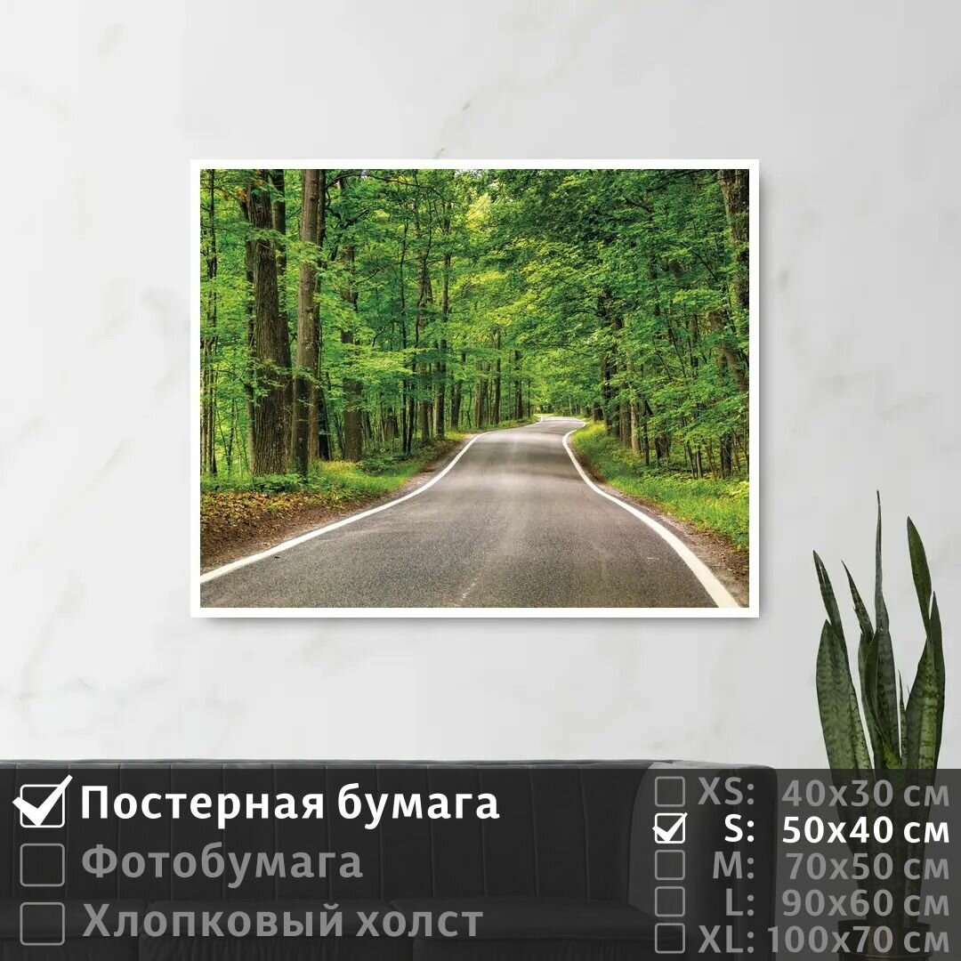 Постер на стену Дорога Уходящая Вдаль В Летнем Лесу 50х40 см ПолиЦентр