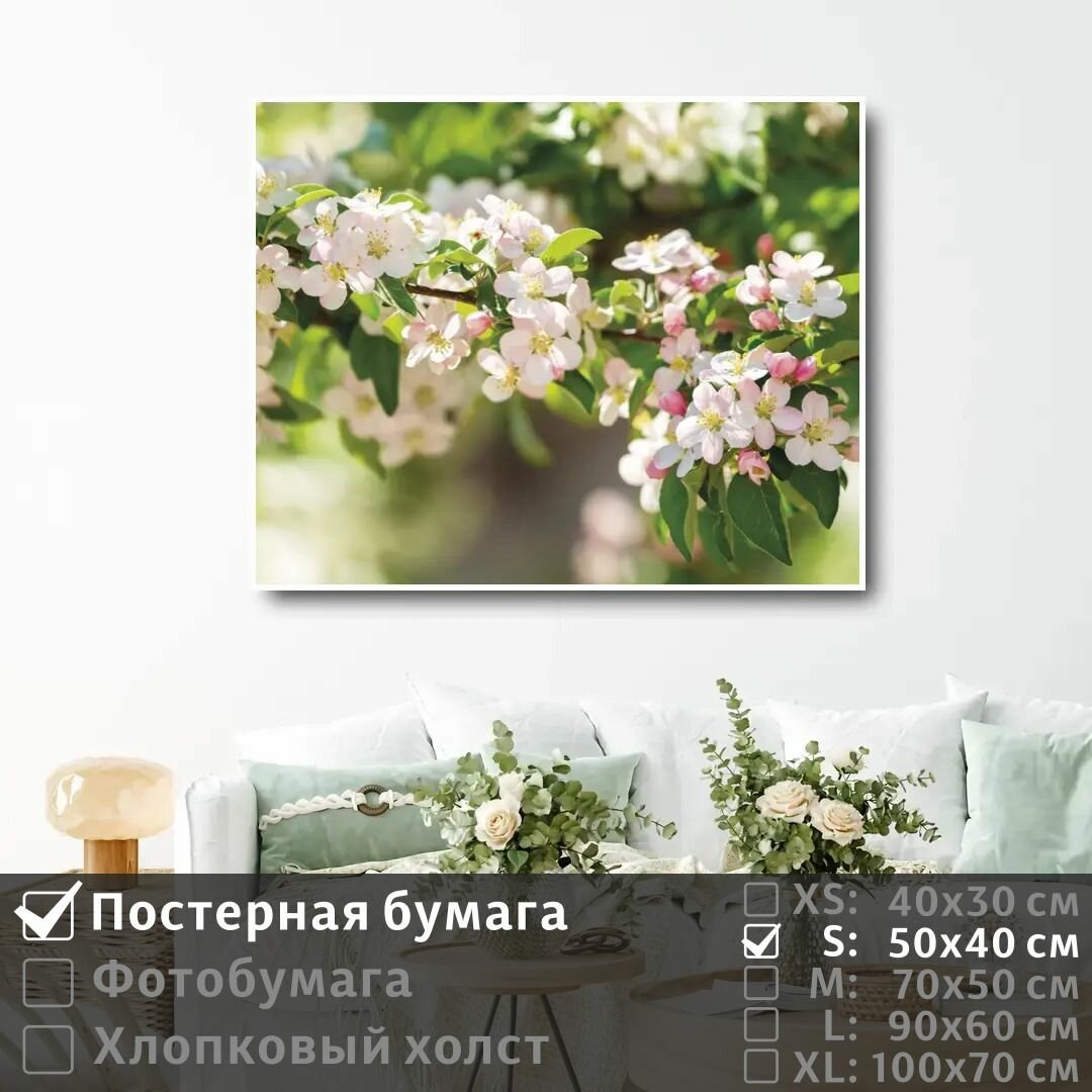 Постер на стену Весенняя Ветка Яблони 50х40 см ПолиЦентр