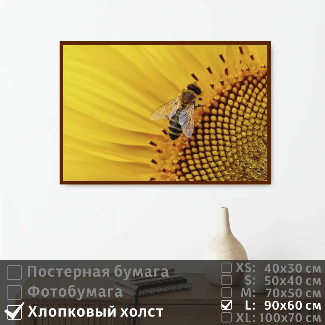 Постер на холсте Пчела В Подсолнухе 90х60 см ПолиЦентр