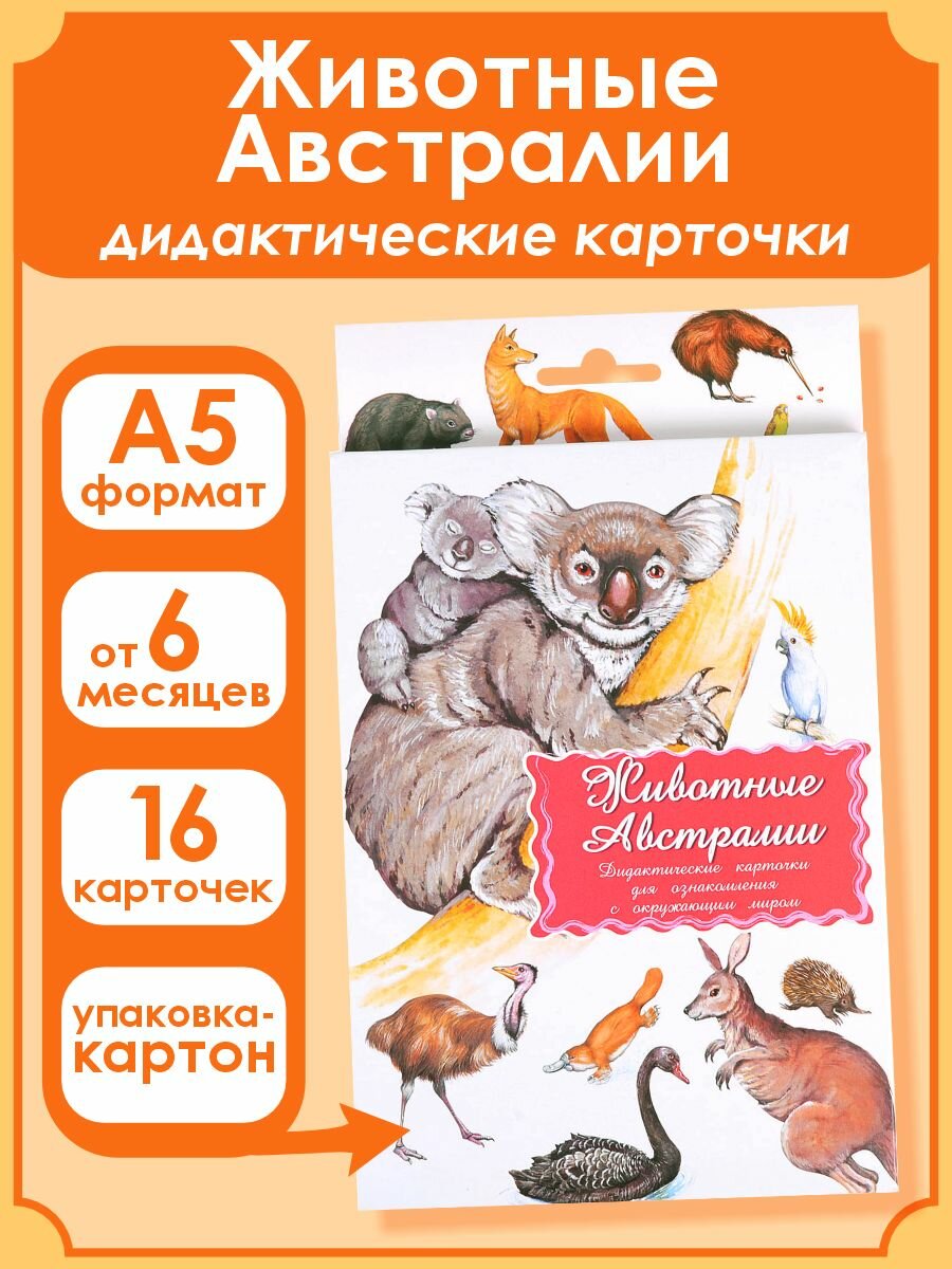 Дидактические карточки Маленький гений Животные Австралии, 16 шт, 23х15 см