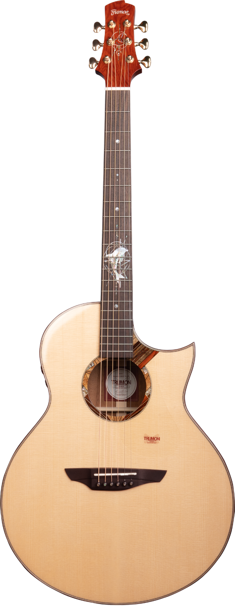 Акустическая гитара Trumon Dolphin-1955TFL-S3