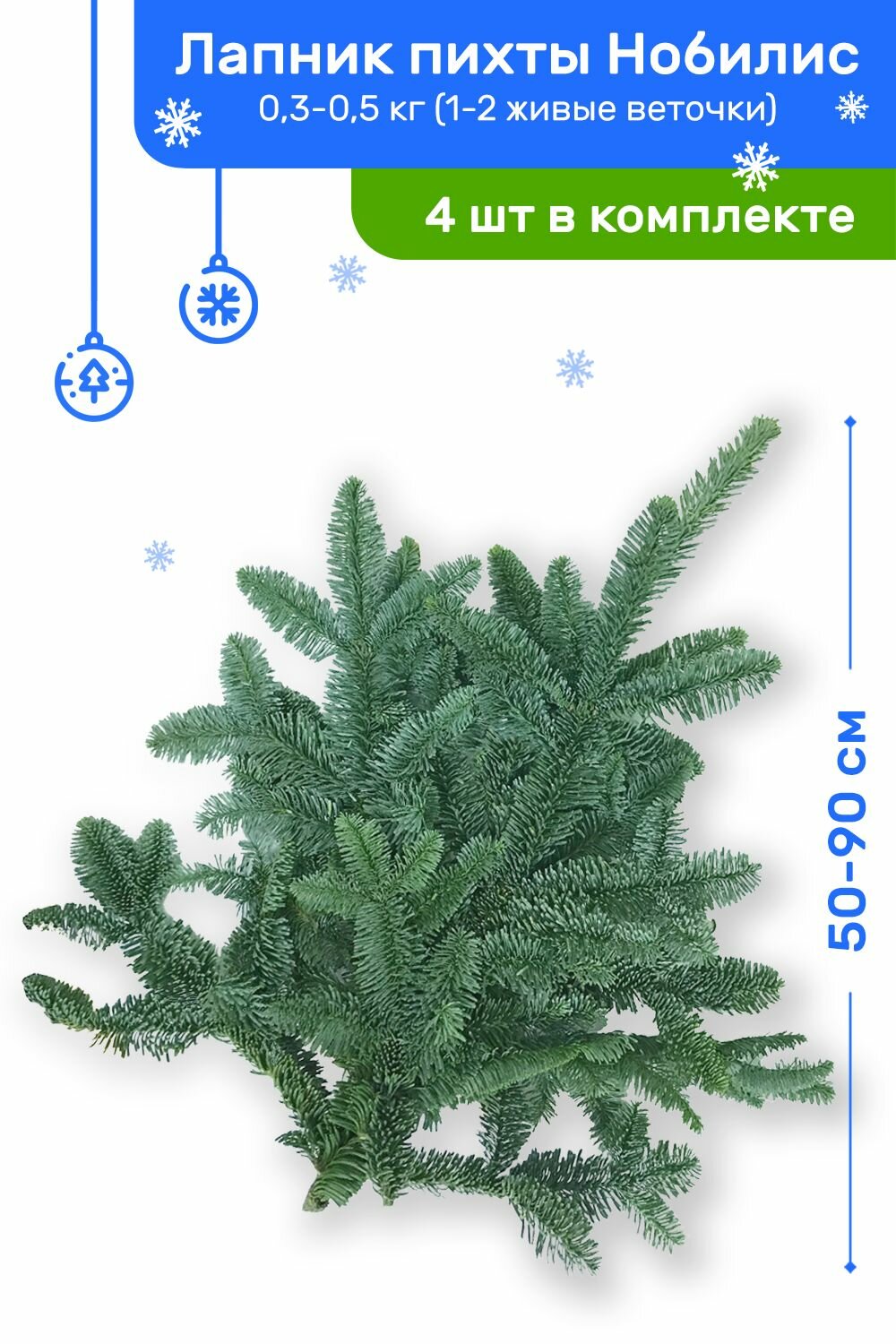 Лапник пихты Нобилис пучок 0,3-0,5 кг (1-2 живые веточки), комплект из 4 шт