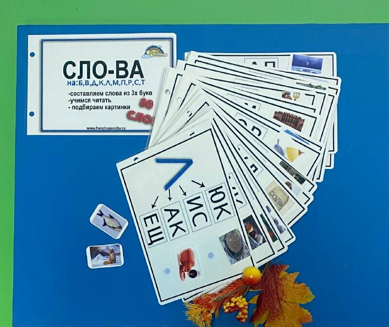 Игра на чтение слова ("СЛО-ВА"), 80 слов из трех букв. Развивающие пособия на липучках Frenchoponcho