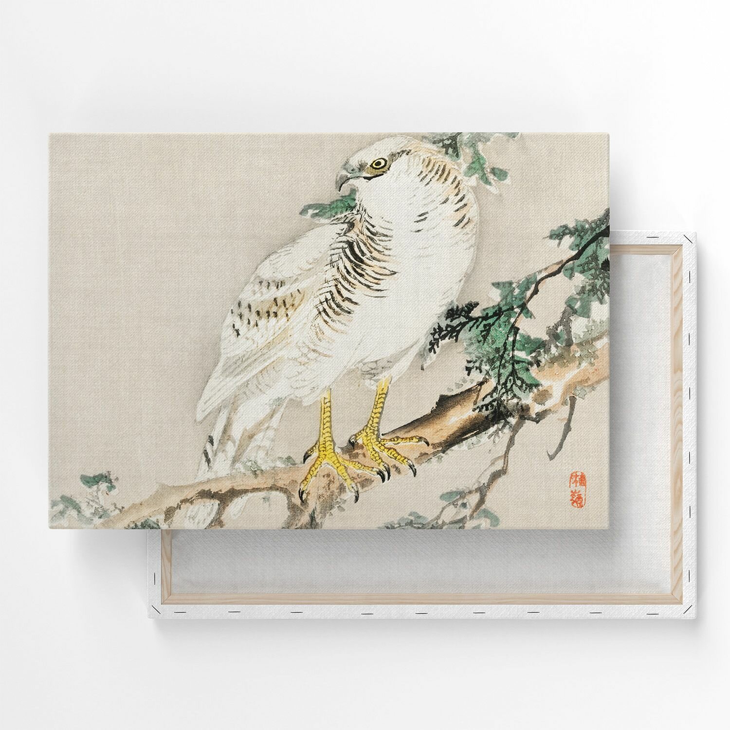 Картина на холсте, репродукция / Байрэй, Коно - Northern mockingbird / Размер 40 x 53 см