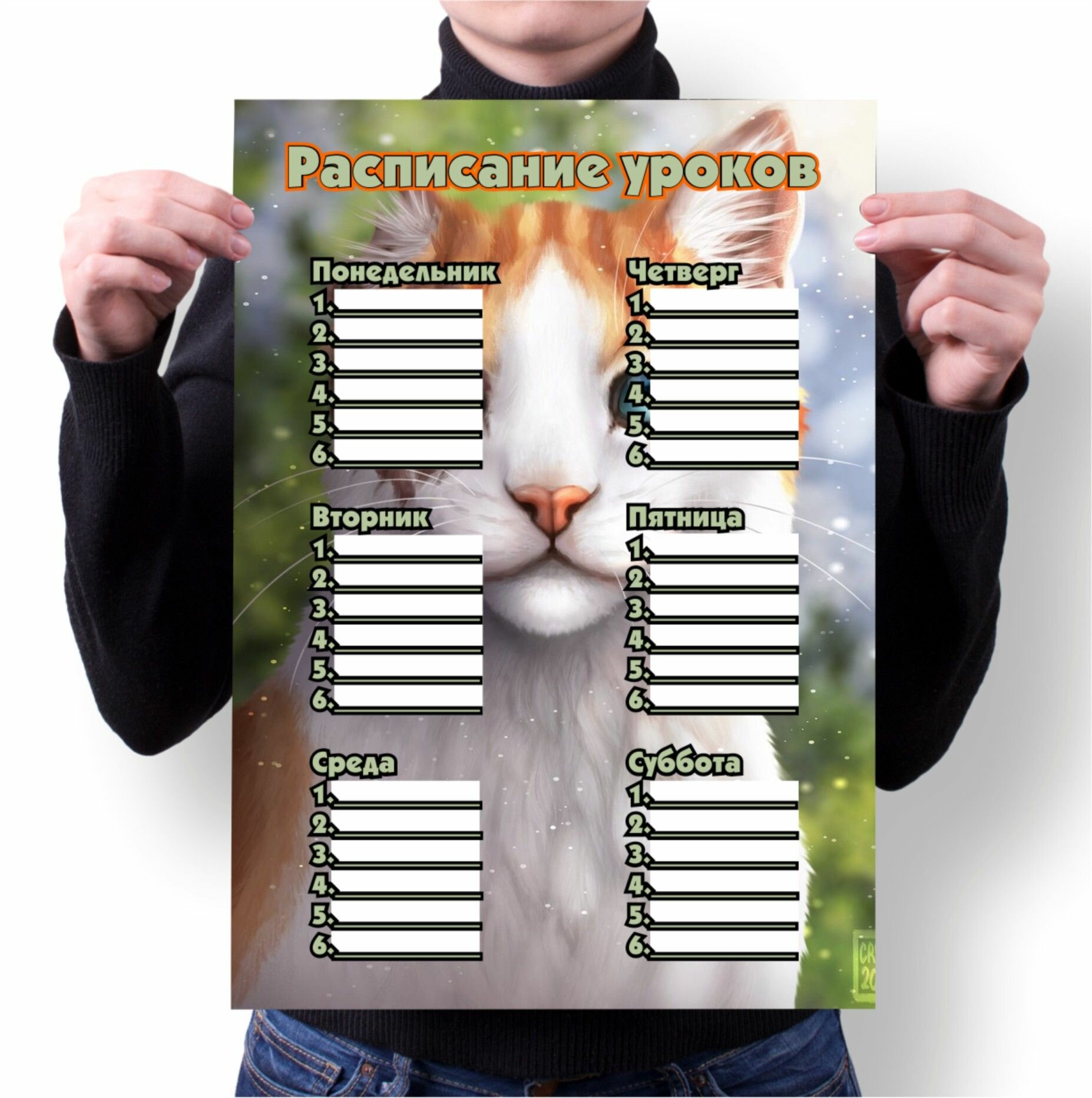 Расписание уроков формата А3 с принтом "Коты воители"