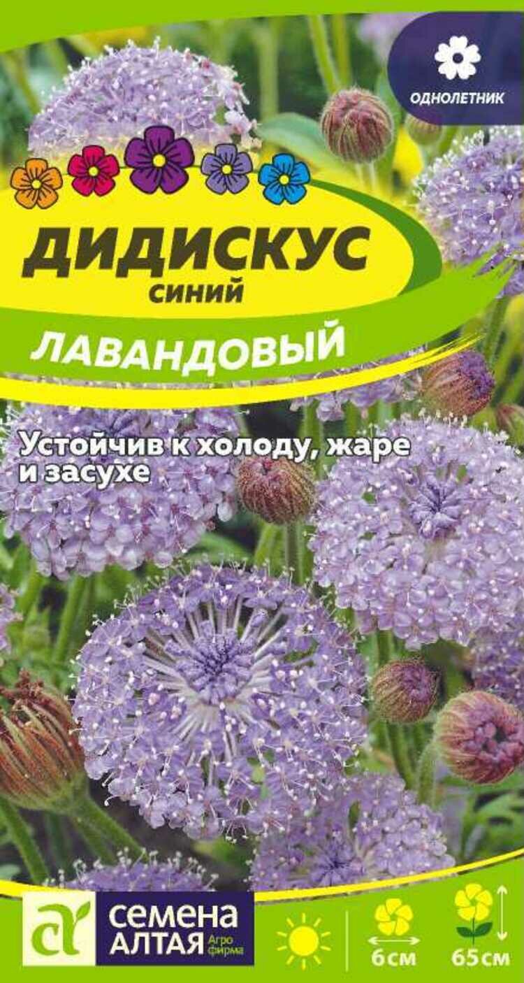 Семена Алтая Дидискус лавандовый (0,1 г) Семена Алтая, однолетник, высота 65 см