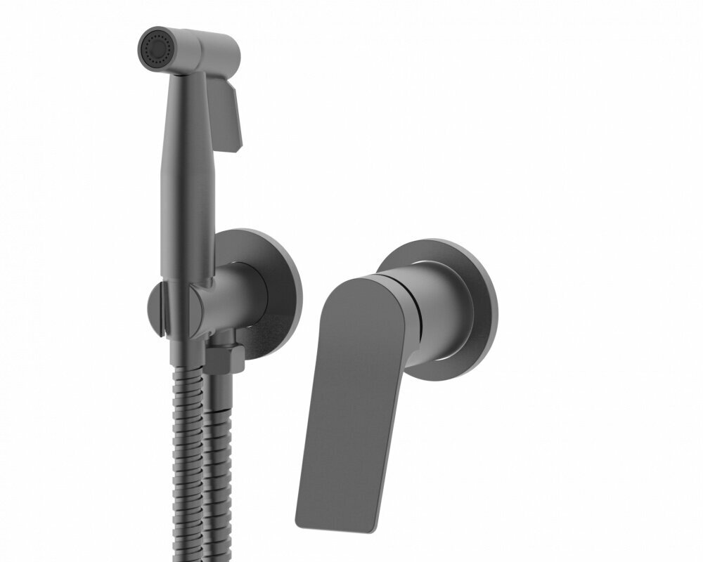 Смеситель для биде из латуни с лейкой и шлангом Vieir V343553-G графит