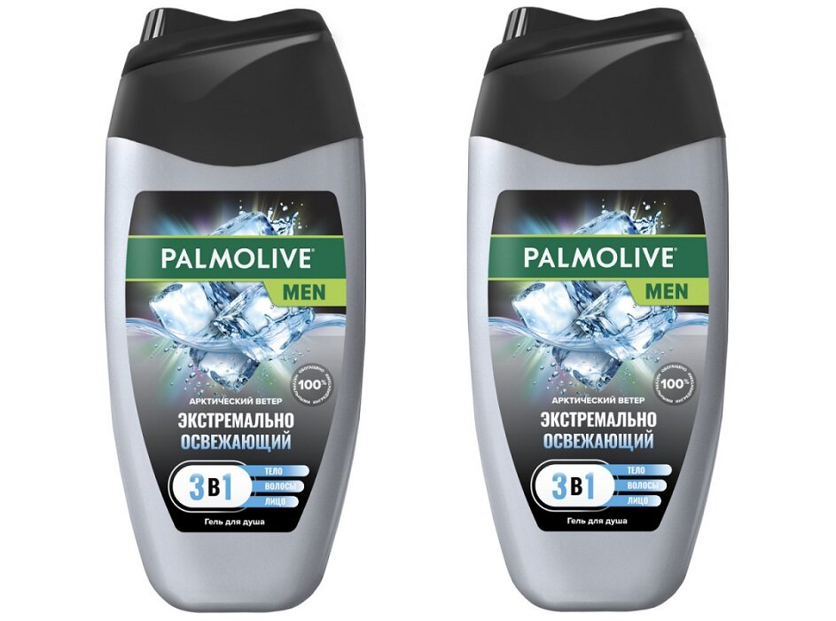 Гель для душа Palmolive мужской Арктический ветер, 450 мл, 2 шт.