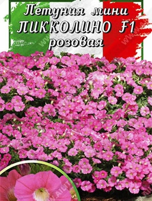 Петуния мини Пикколино F1 розовая