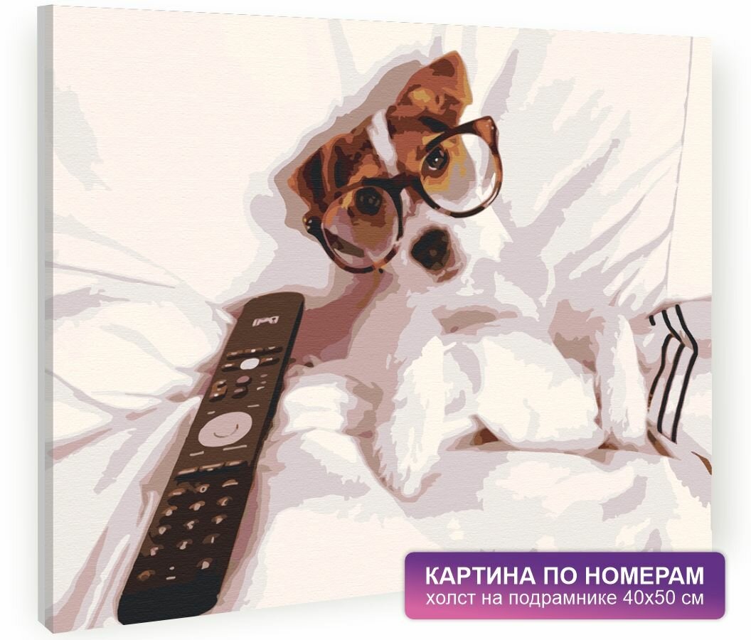 Картина по номерам на холсте с подрамником 40х50 см. Природа, животные, рыбы, птицы. Собаки, щенки. "Джек-рассел-терьер", арт. 4355/