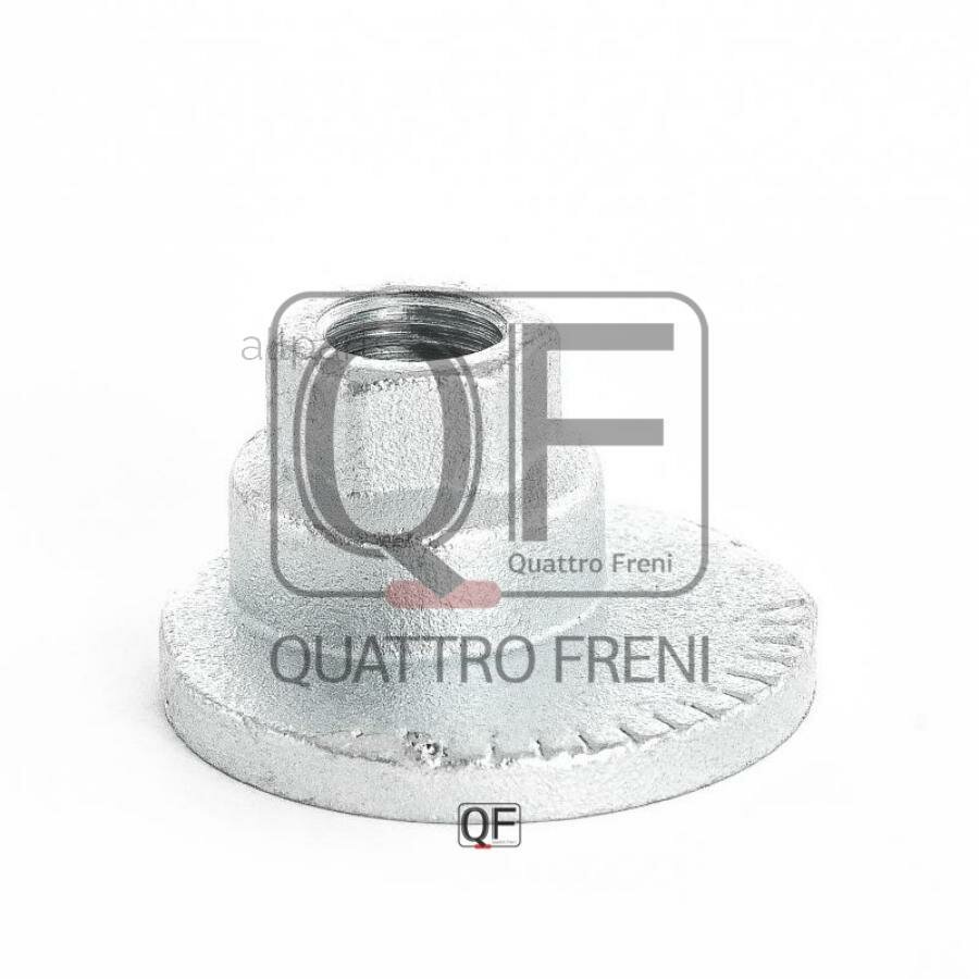 QUATTRO FRENI QF00X00019 Гайка-эксцентрик