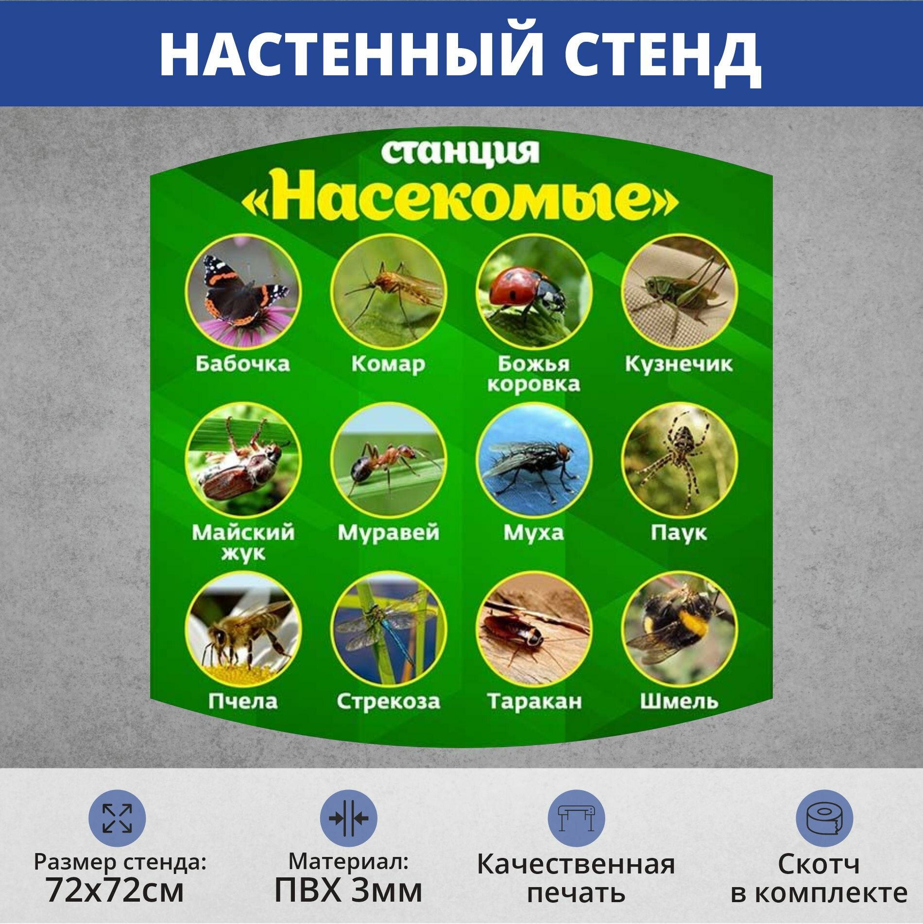 Информационный стенд настенный для садика "Станция Насекомые" (Большой размер 720х720мм)
