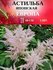 Японская Европа