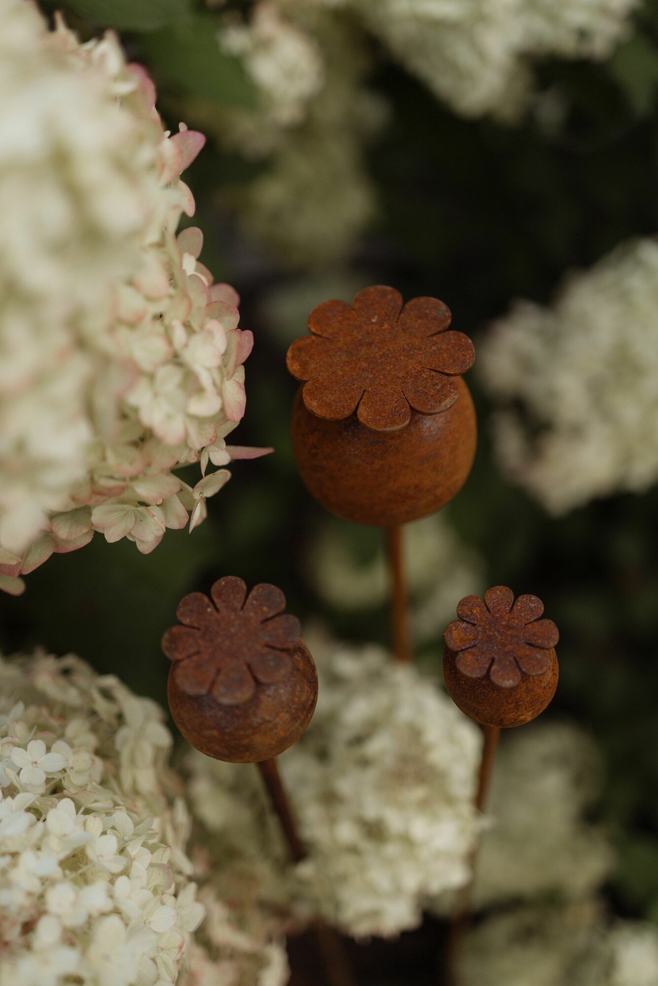 Садовый декор Маки для сада 4-100