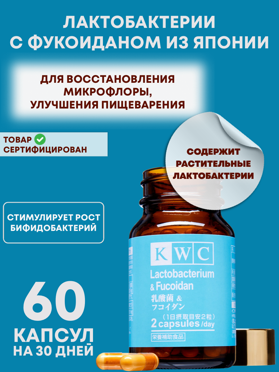 Лактобактерии с фукоиданом KWC Япония, для восстановления микрофлоры и нормализации пищеварения, 60 капсул