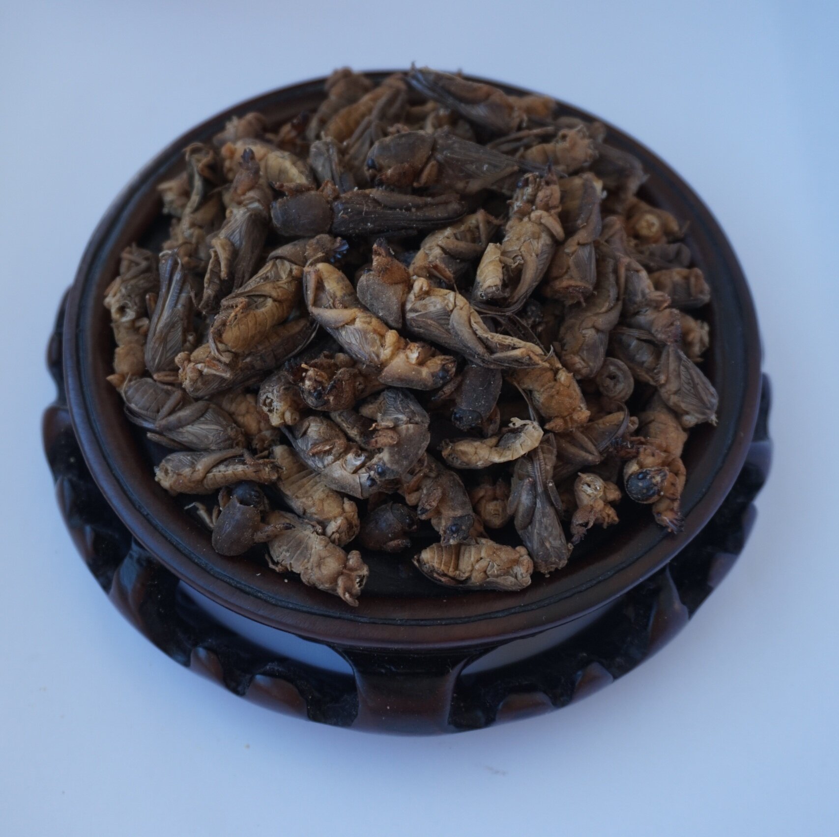 Сушеная медведка «Лаос» - повышение аппетита и активности (30 грамм)