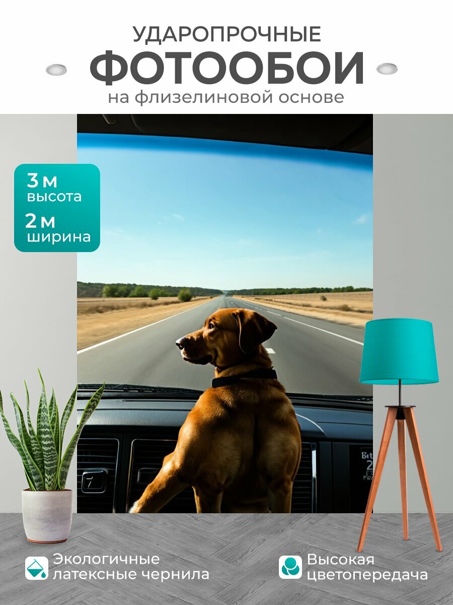 Фотообои моющиеся ударопрочные "Дальнобойщик с собакой на переднем сиденье, смотрящий на дорогу, в то время как грузовик мчит по пустынной трассе" 200x300 см. флизелиновые на стену