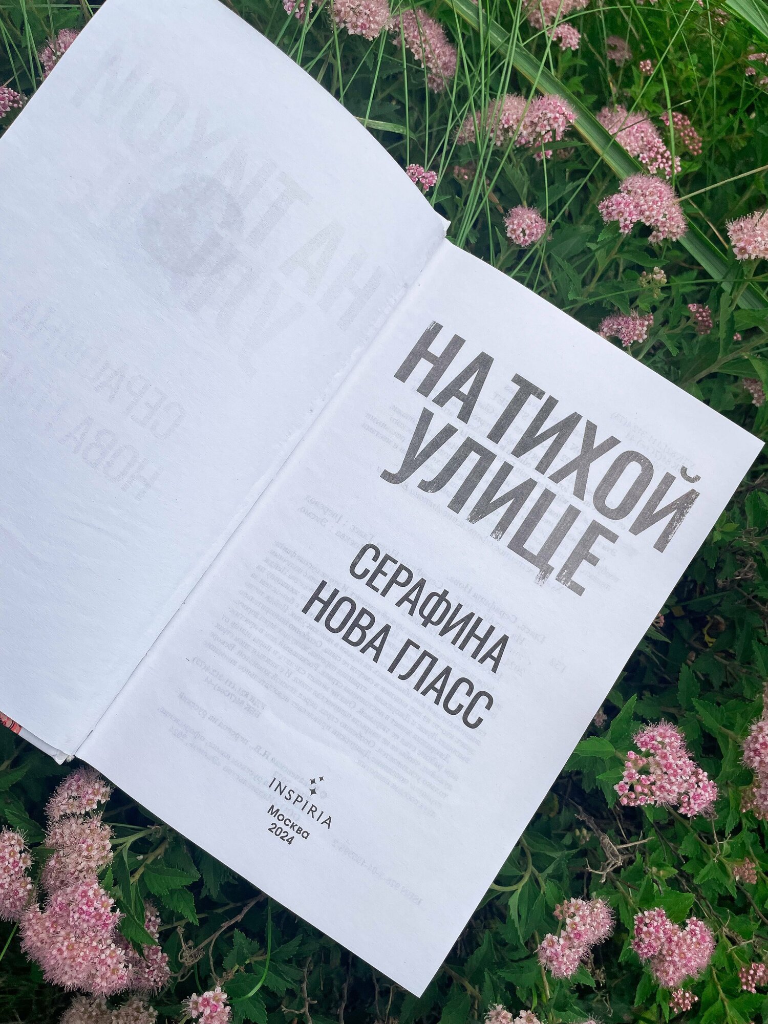 На тихой улице — фото 1