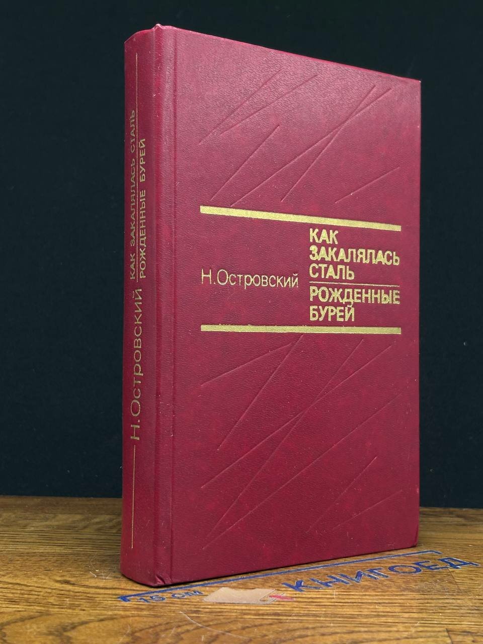 Книга. Как закалялась сталь. Рожденные бурей 1984 (2042940109083)