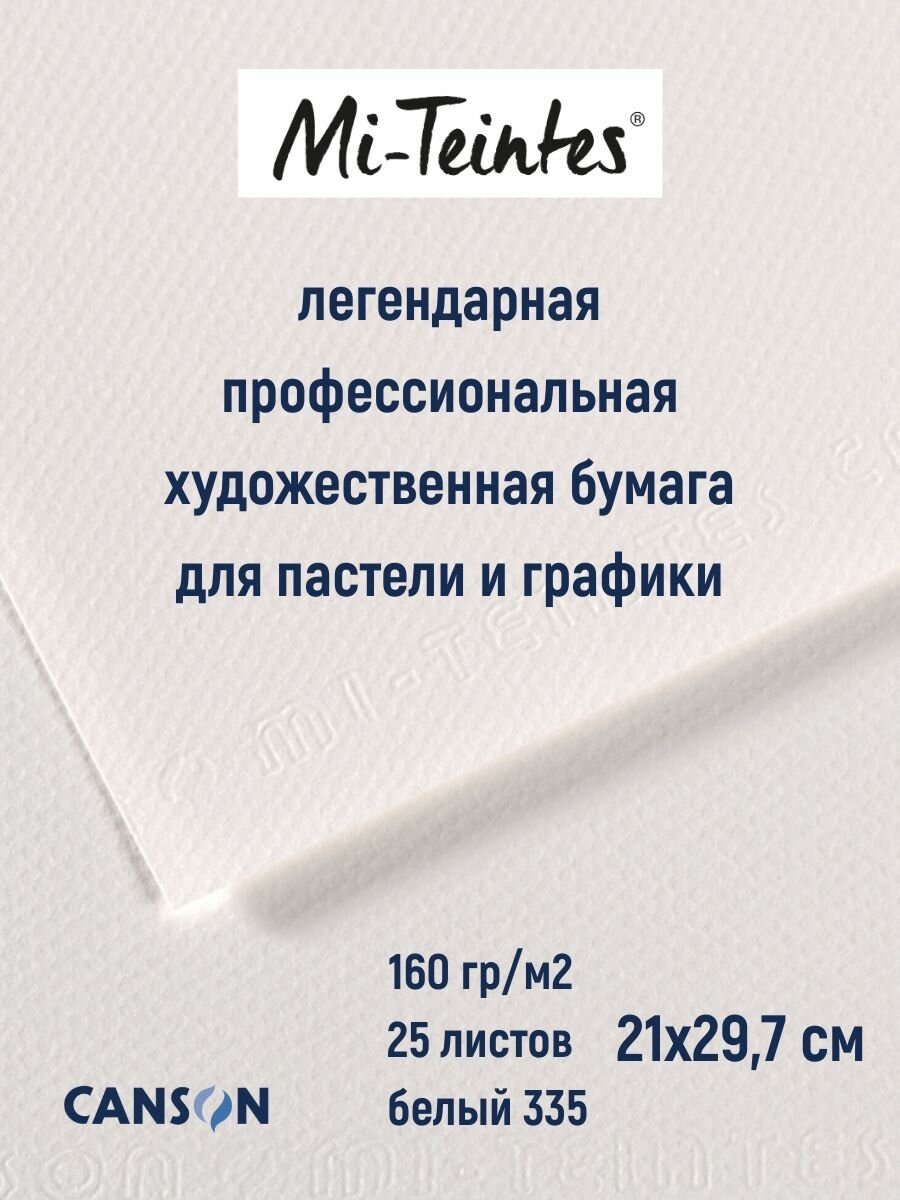 CANSON Mi-Teintes бумага для пастели 160 г/м2, 25 листов A4 21 х 29.7 см, №335 Белый C31027S001