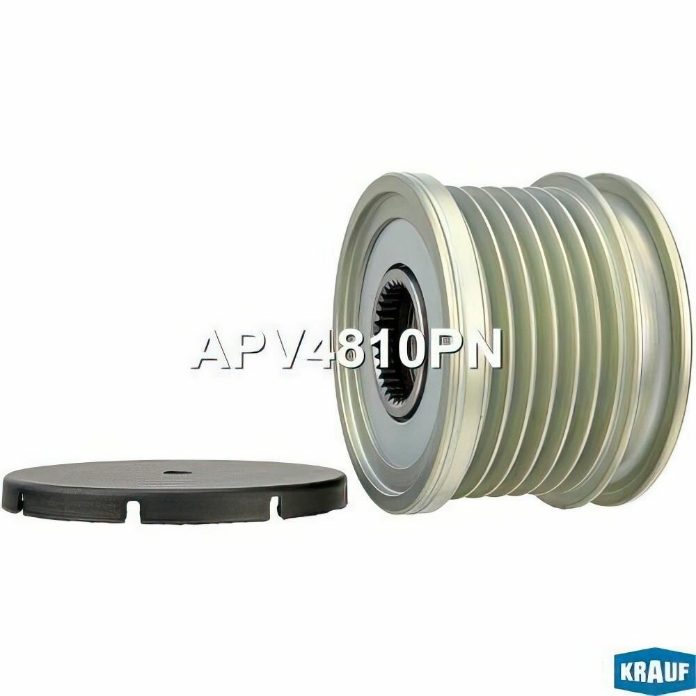 Шкив обгонный генератора, для Рено Клио, 5 арт APV4810PN