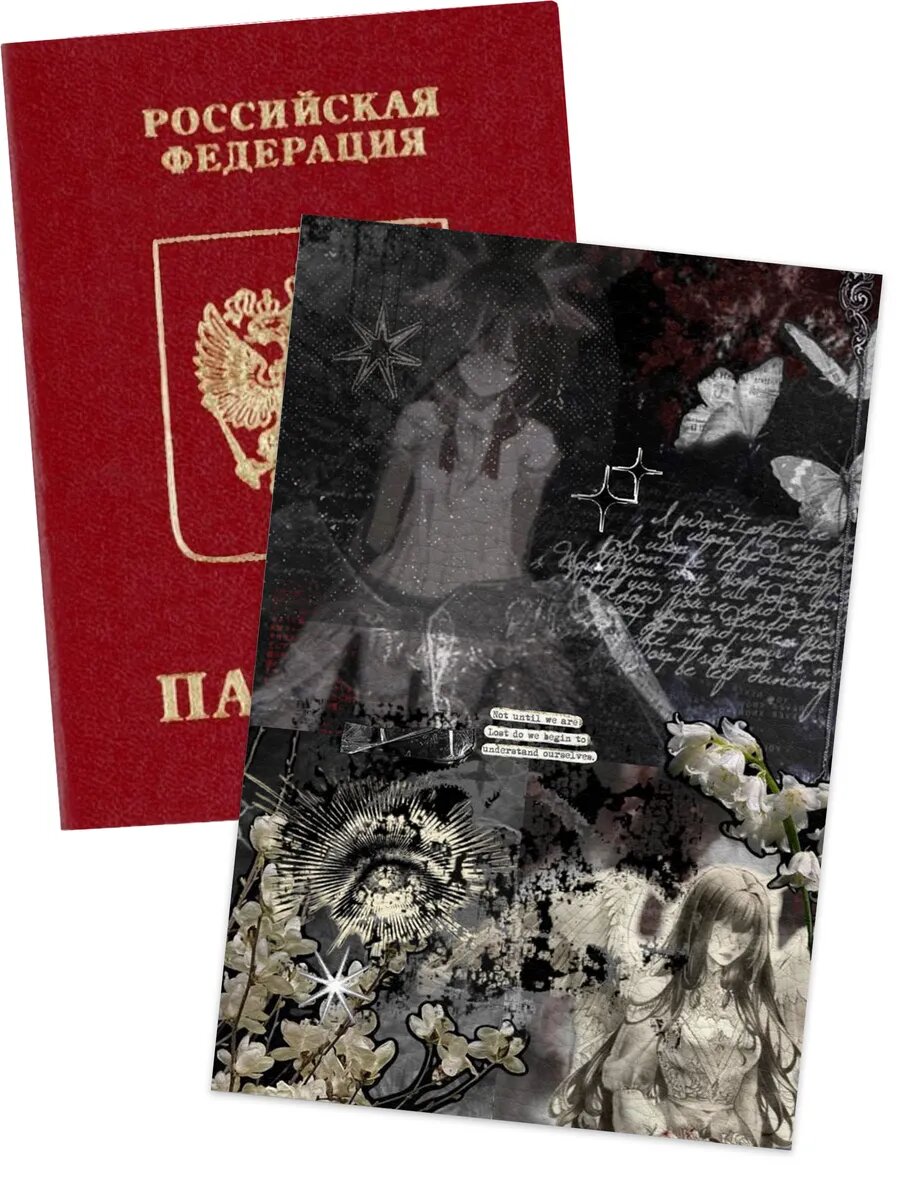 Обложка для паспорта