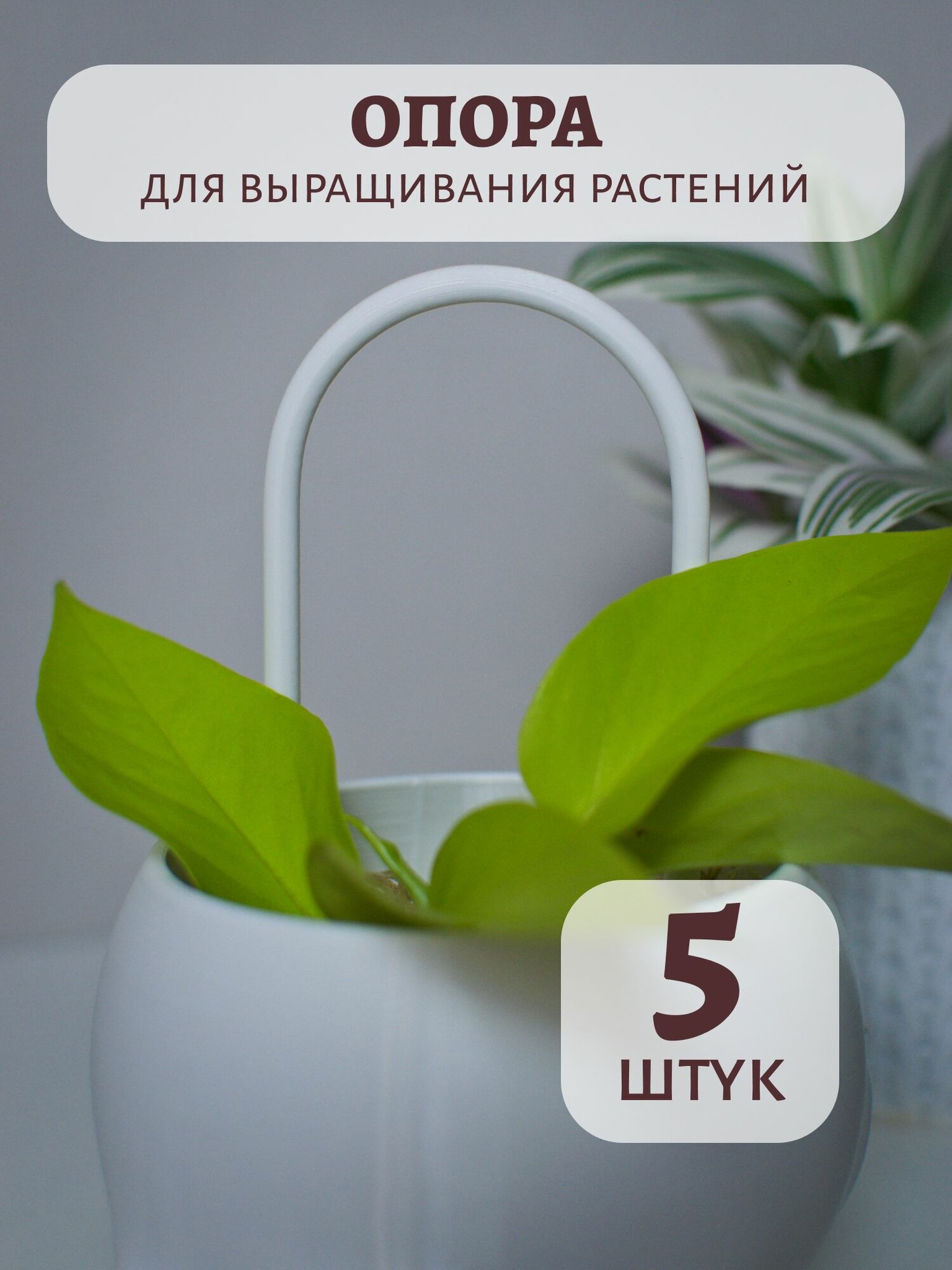 Опоры для комнатных растений, 5 шт, белый, пластик, 3D-печать