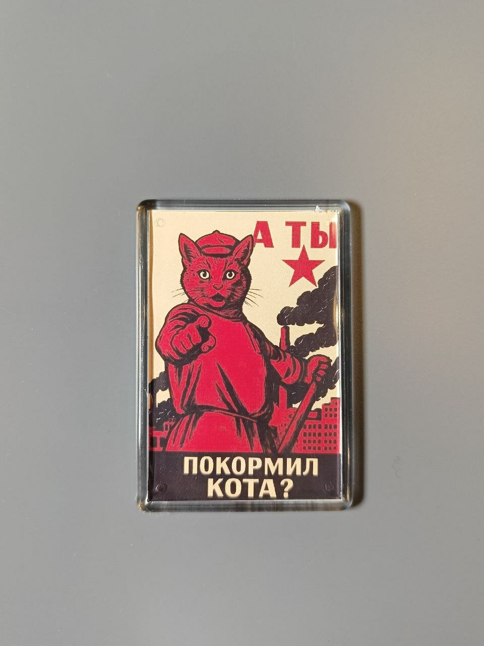 Магнит на холодильник "Ты покормил кота"