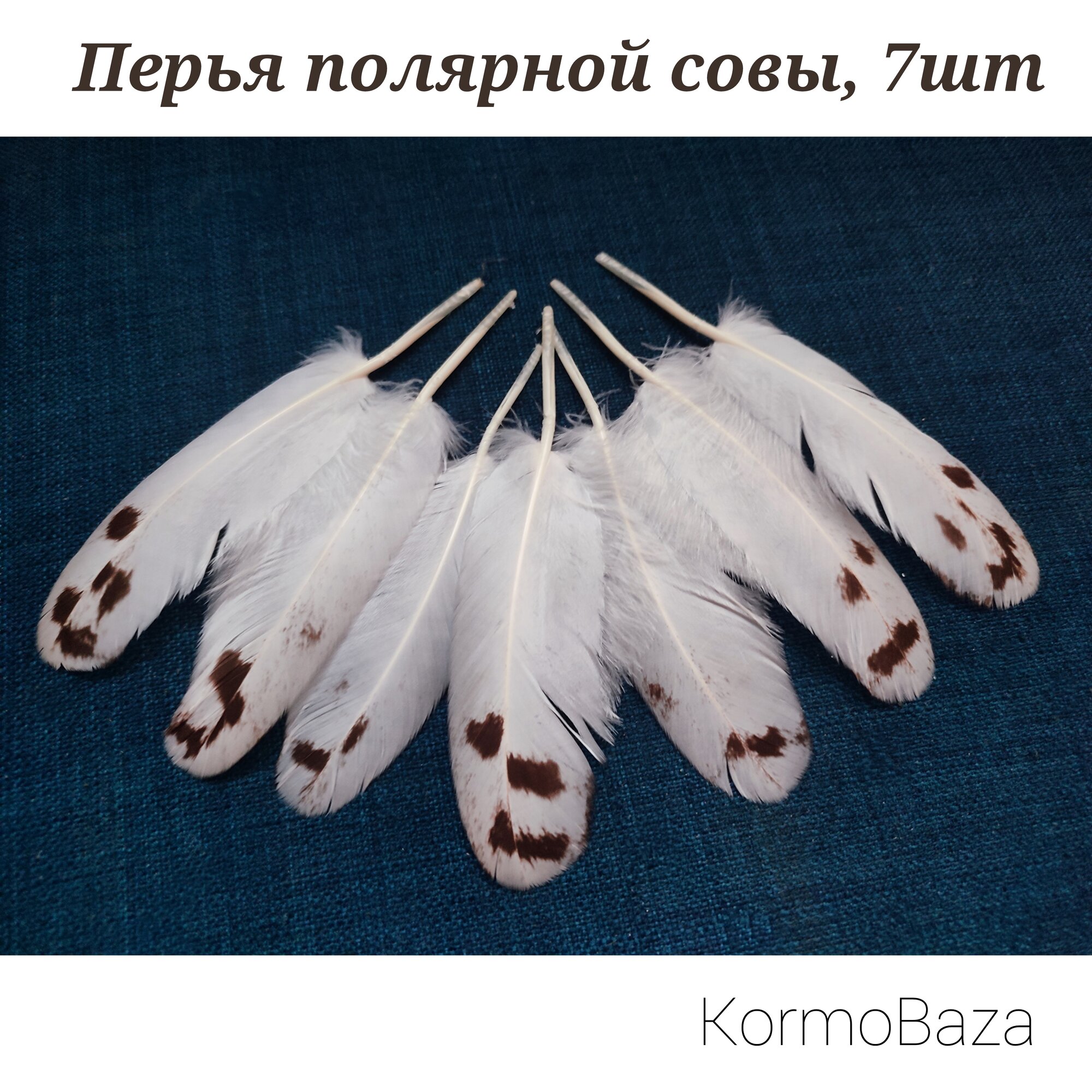Натуральные перья полярной совы, 7шт