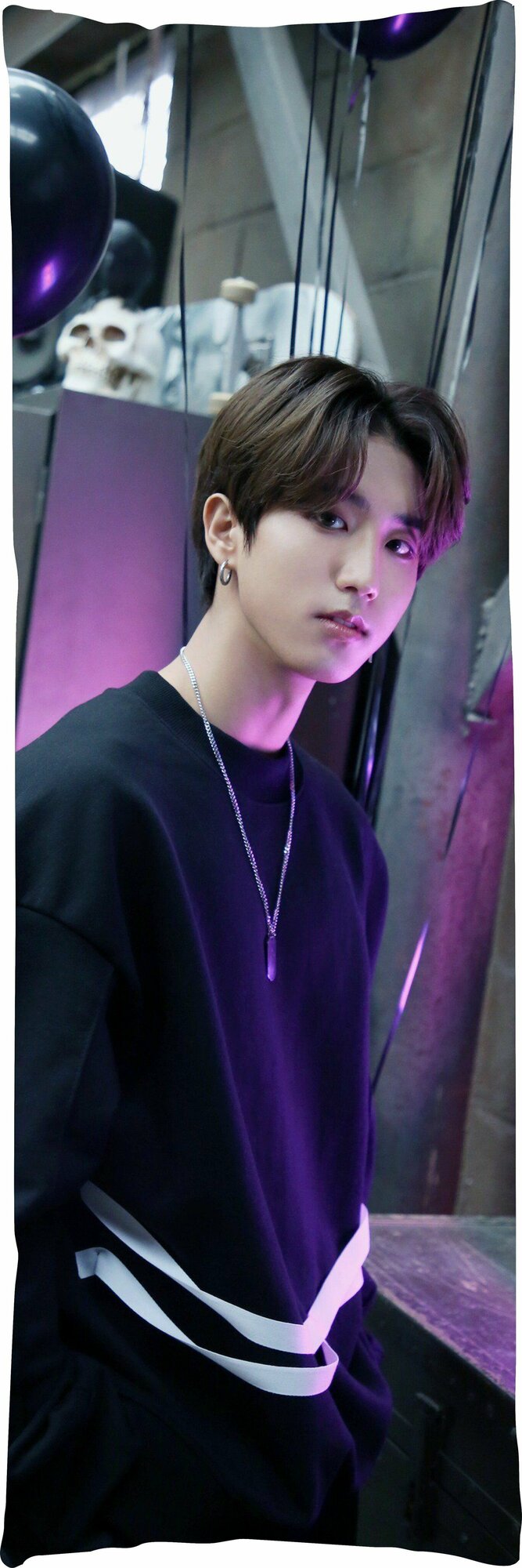 Мини дакимакура Хан Джисон Han Jisung