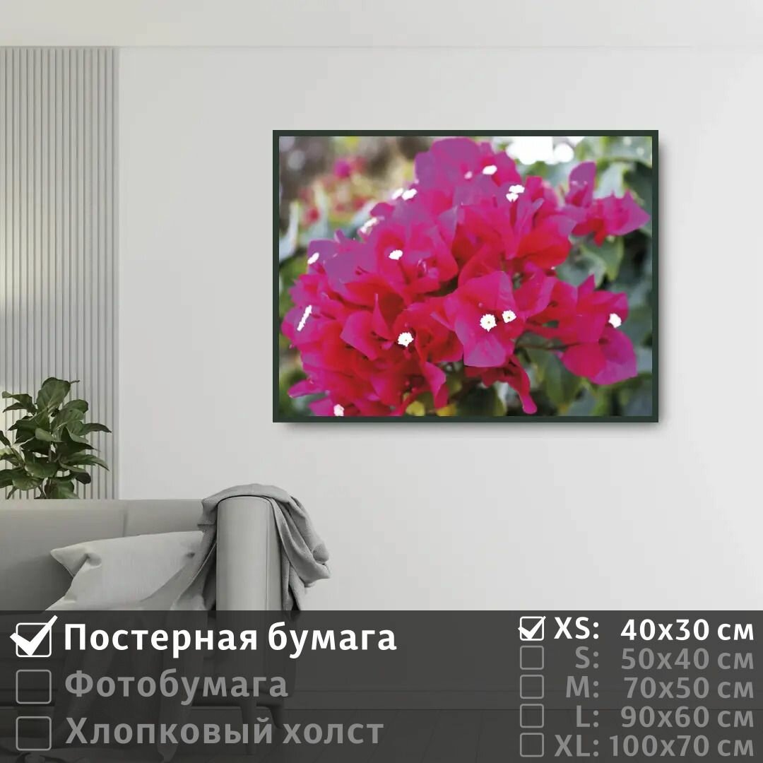 Постер на стену Ветка Нежной Бугенвиллии 40х30 см ПолиЦентр