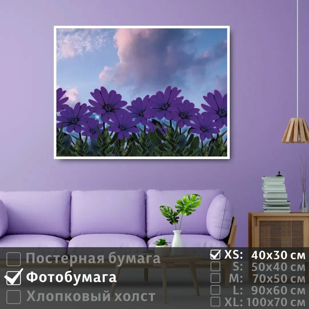 Постер на фотобумаге Фиолетовые Полевые Цветы 40х30 см ПолиЦентр