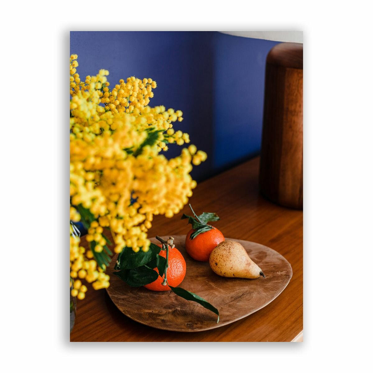 Постер цветы на бумаге / Мимоза / Размер 30 x 40 см