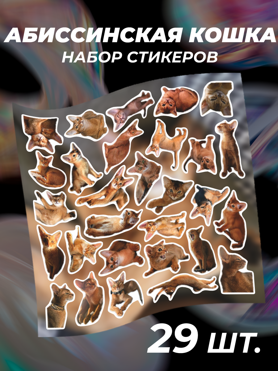 Наклейки на телефон стикеры Кот абиссинец