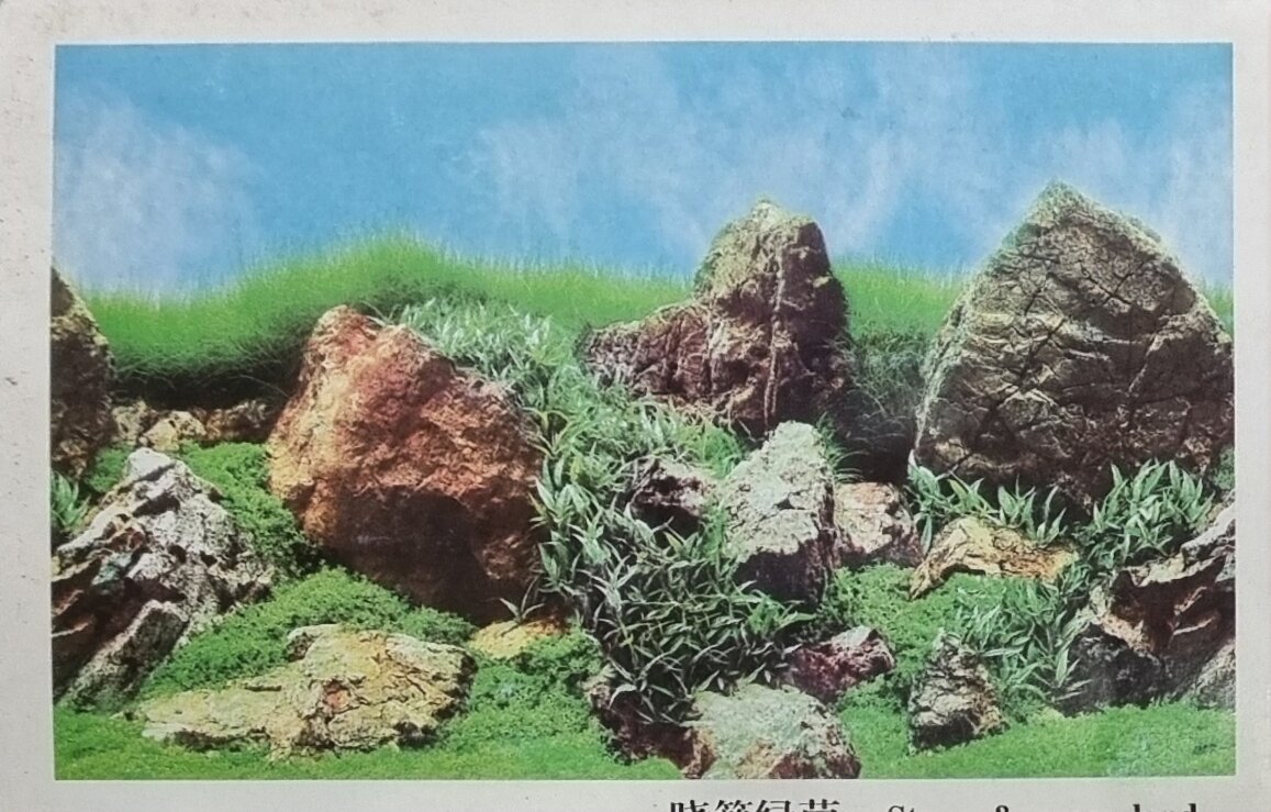 Фон Homefish Морские камни для аквариума (30 х 150 см)