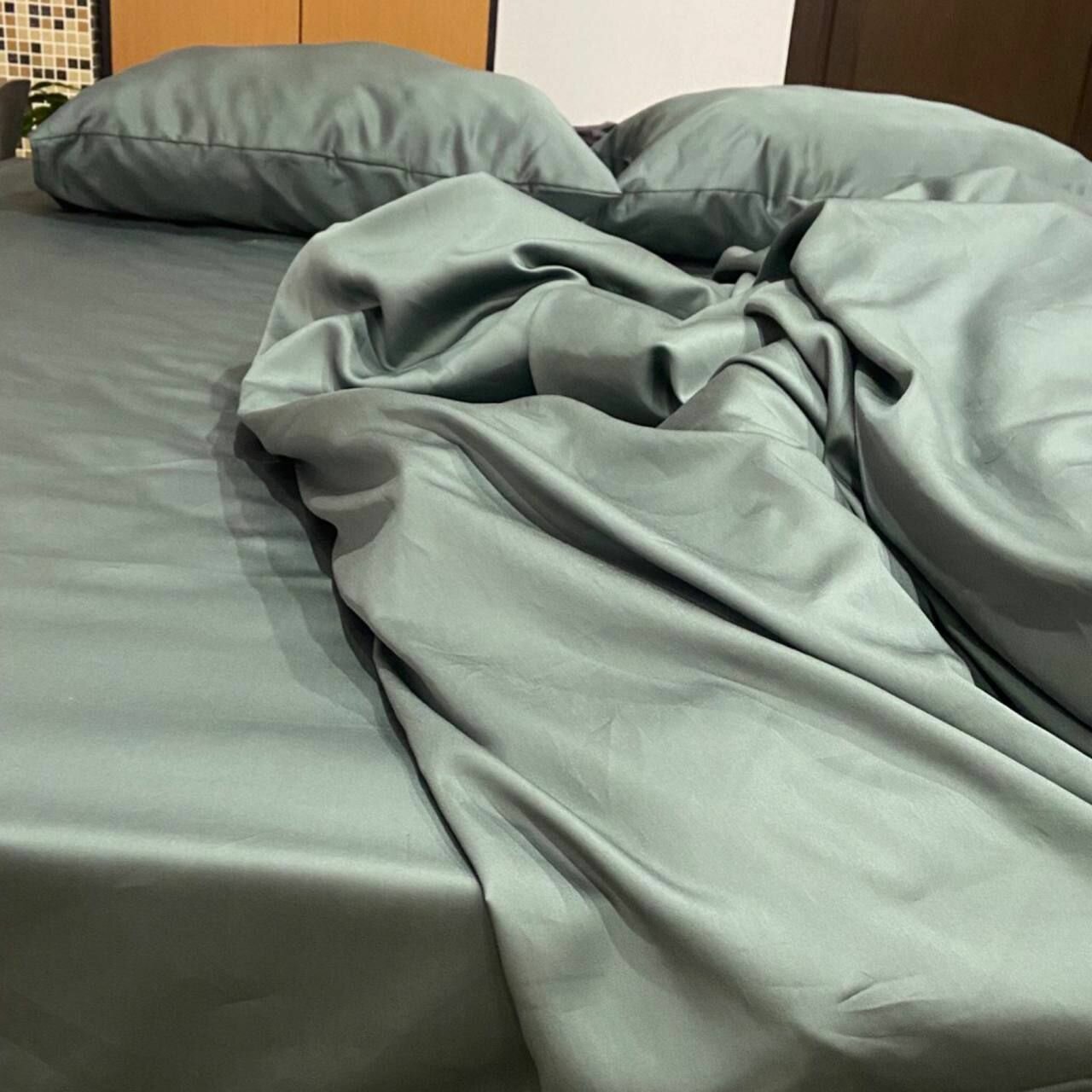 Комплект постельного белья Евро, Тенсель ,"Полынь", наволочки 70/70