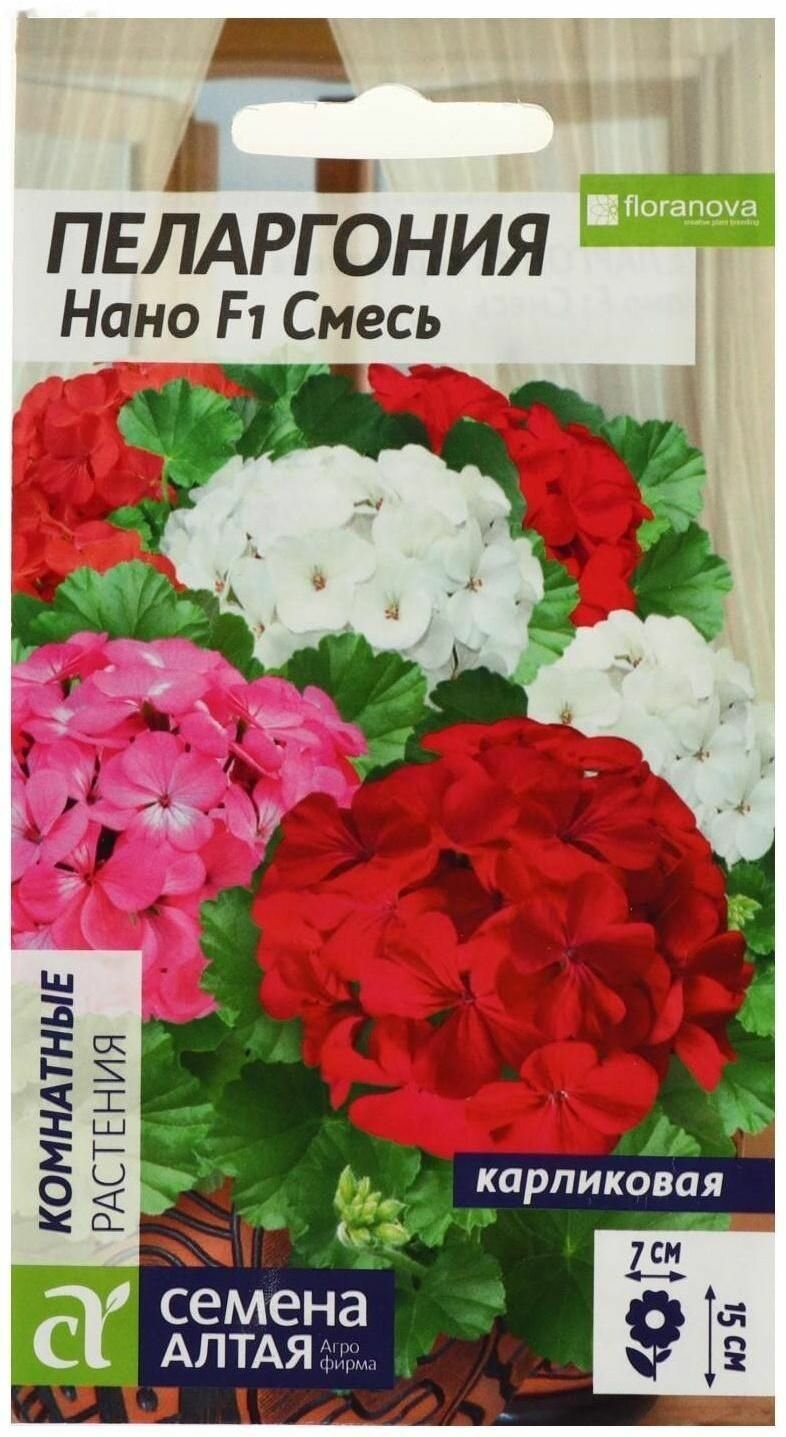 Семена цветов Пеларгония Нано, Cмесь, 3 шт