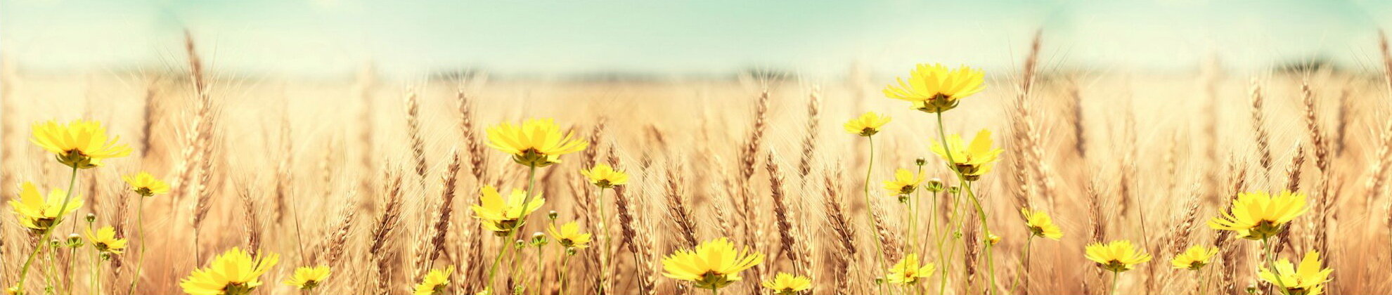 Кухонный фартук/стеновая панель МДФ для кухни 2800*600*6мм "TOP-32"