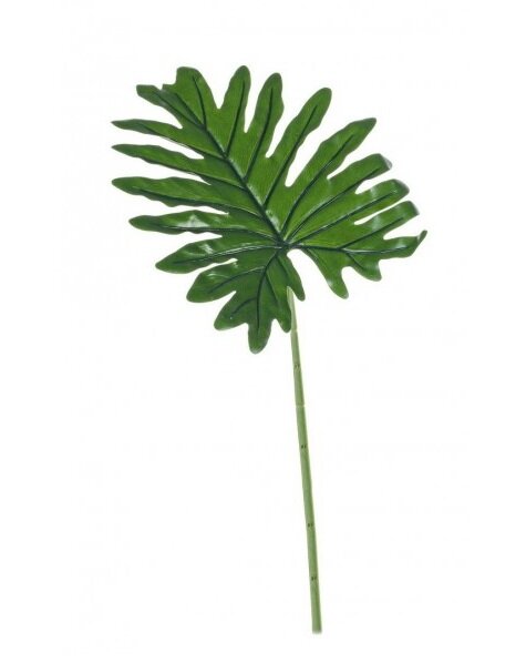 Растение декоративное BIZZOTTO PHILODENDRON MILLED LEAF 0172404 530h