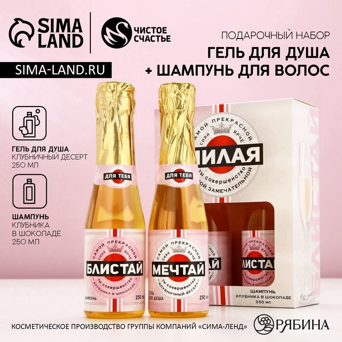 Подарочный набор «Мечтай!», гель для душа и шампунь для волос шампанское, 2×250 мл, Чистое счастье