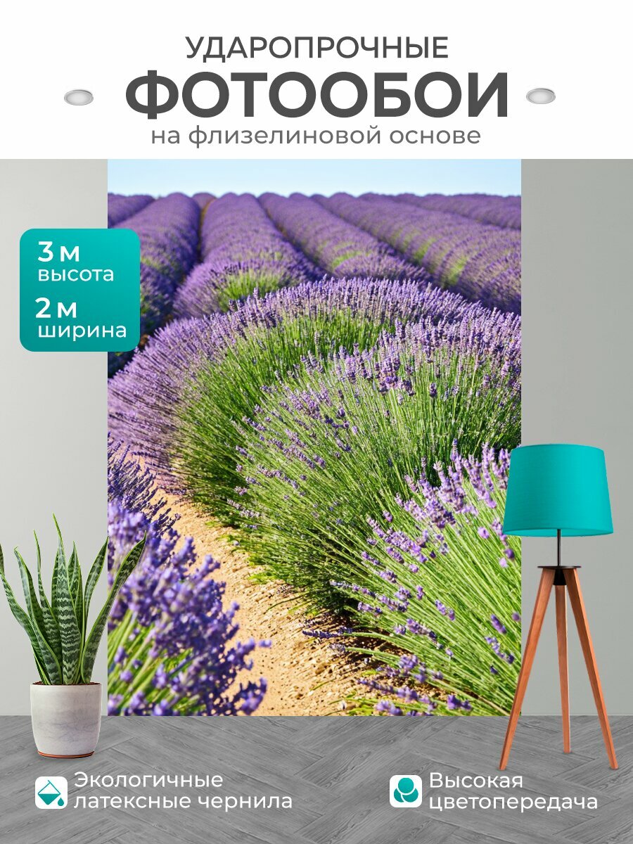 Фотообои моющиеся ударопрочные на кухню "В стиле прованс с лаванды и зелеными полями" 200x300 см. флизелиновые на стену